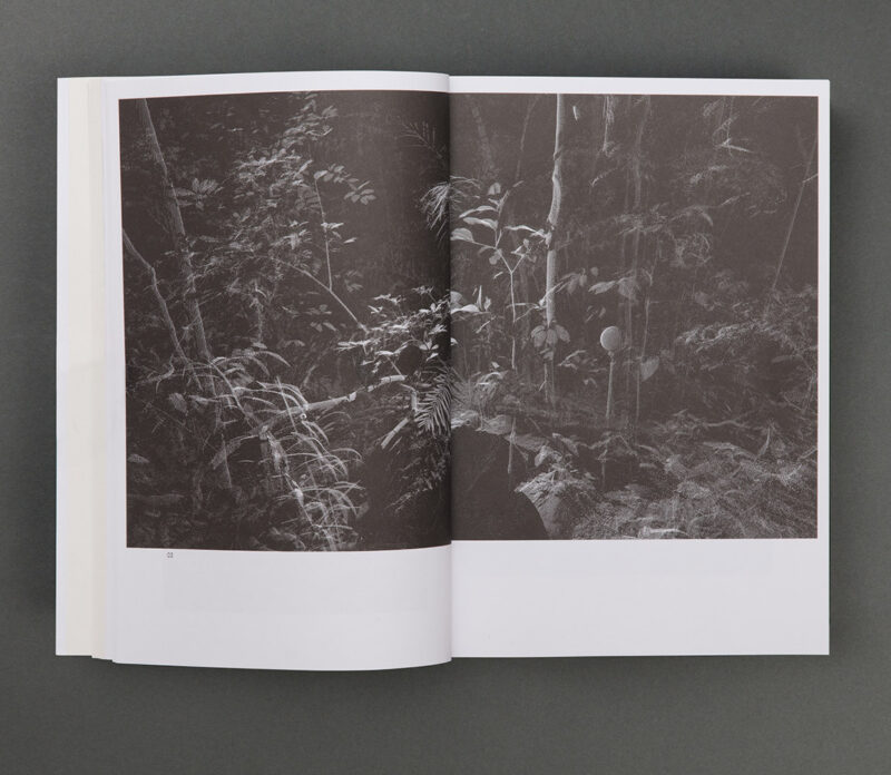 Fata Morgana - Manuella Éditions